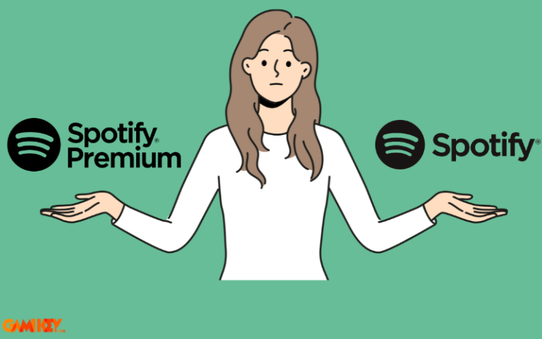 Mua Spotify Premium Invidual - Nâng cấp chính chủ