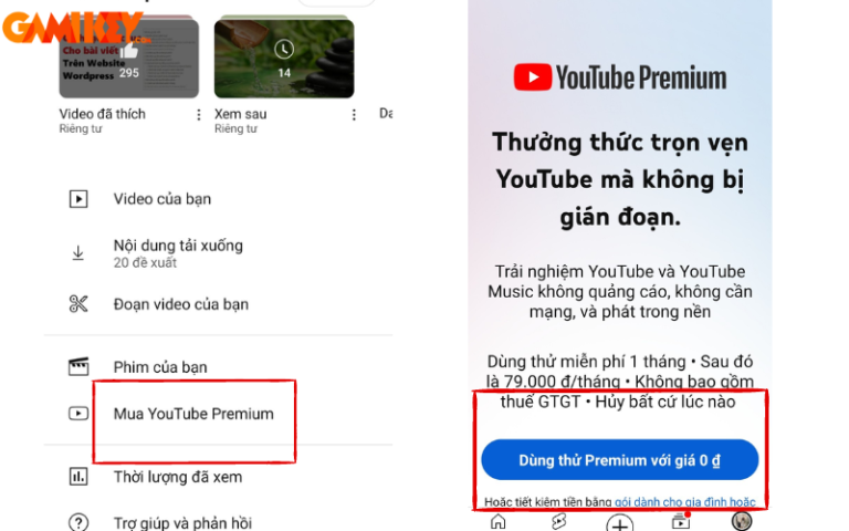 Hướng dẫn cách đăng nhập Youtube Premium tại Việt Nam chi tiết nhất