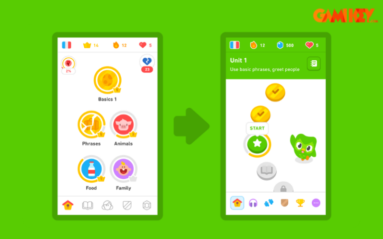 Hướng dẫn cách học Duolingo hiệu quả tốt nhất