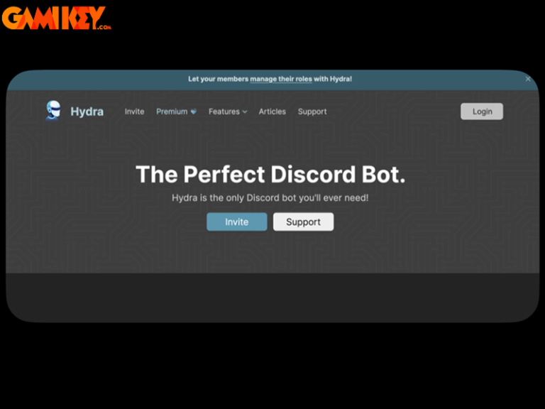 Top những bot nhạc Discord giúp bạn nghe trực tiếp từ Youtube - Gamikey